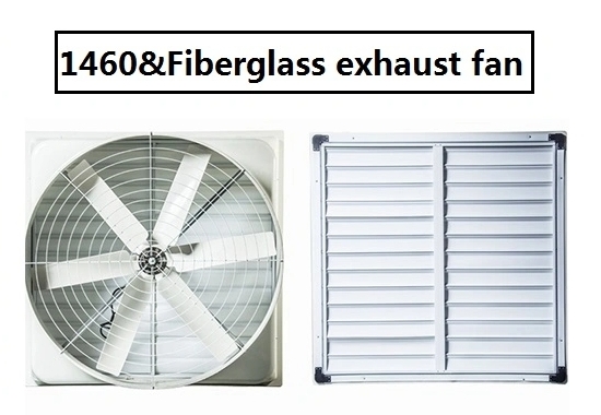 Industrial Fiberglass Exhaust Fan for Factories for sale - shuncheng